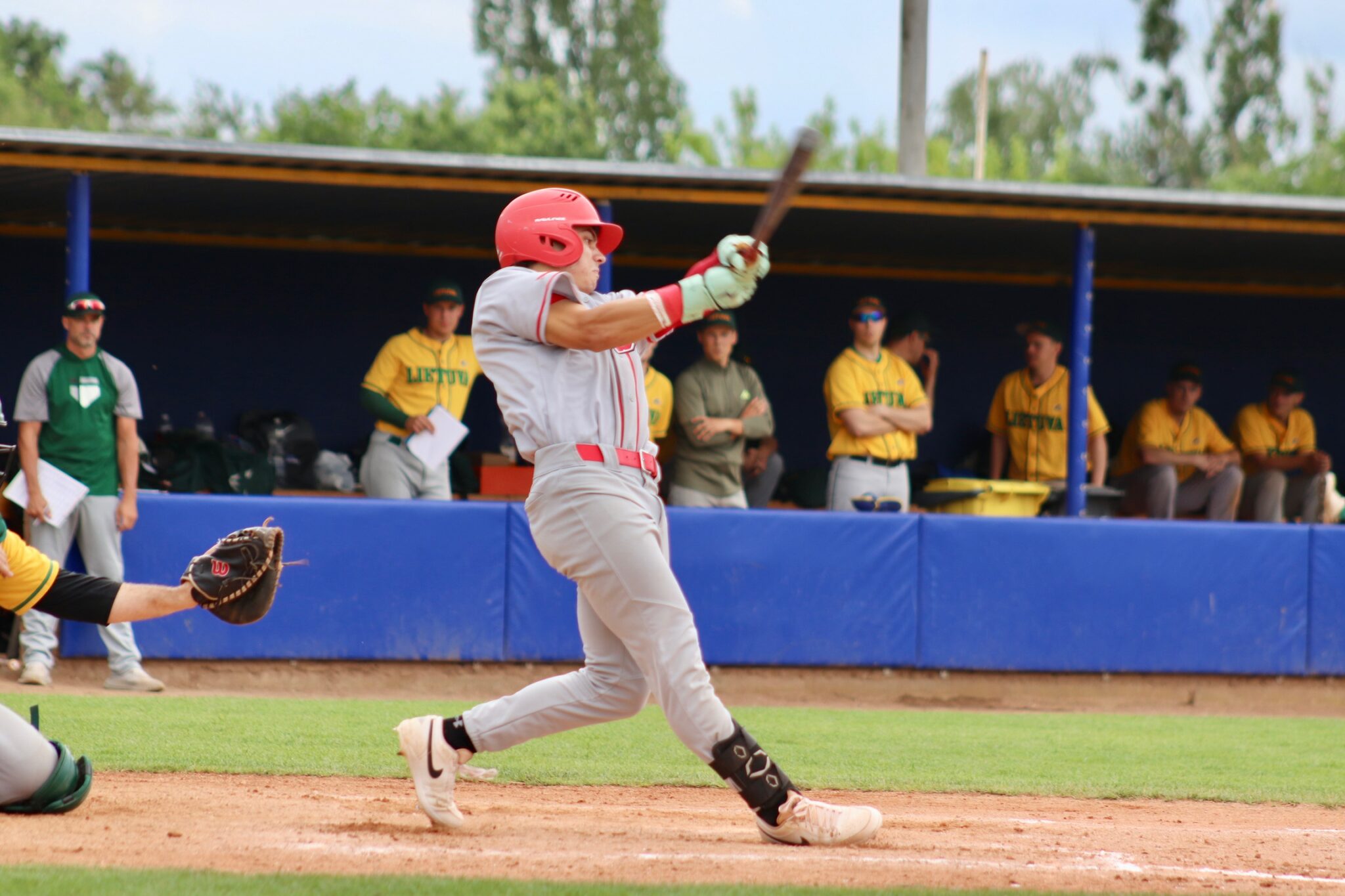Home - SBSF | Swiss Baseball & Softball Federation