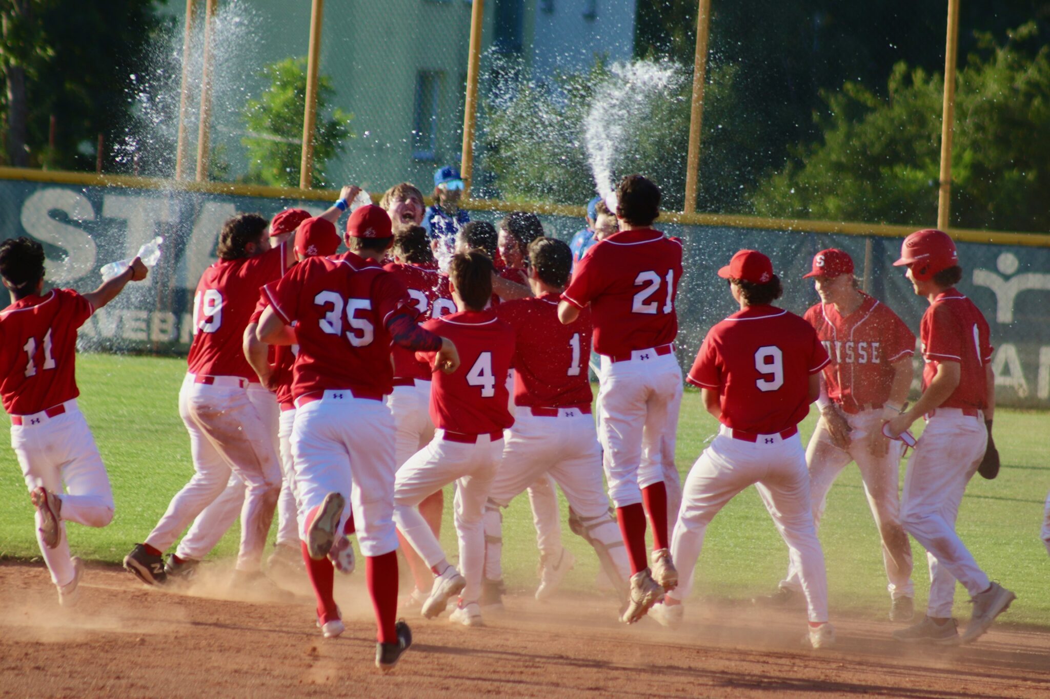 Home - SBSF | Swiss Baseball & Softball Federation