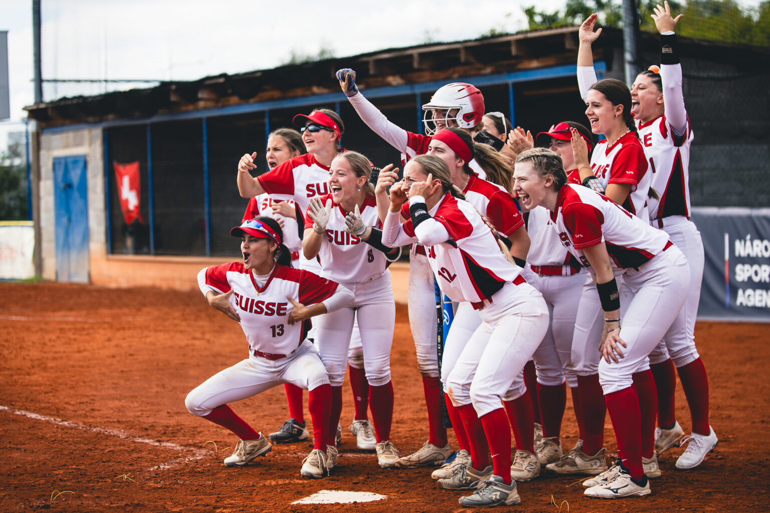 Home - SBSF | Swiss Baseball & Softball Federation